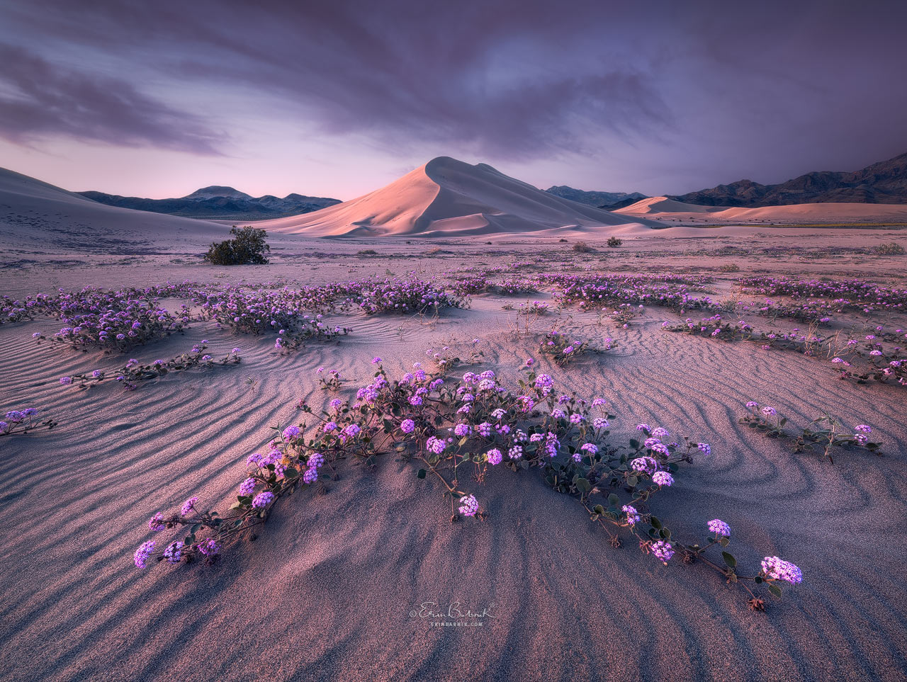 Five Compositional Patterns Worth Finding In Nature Photo Cascadia