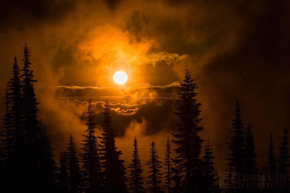 Galleries - Photo Cascadia