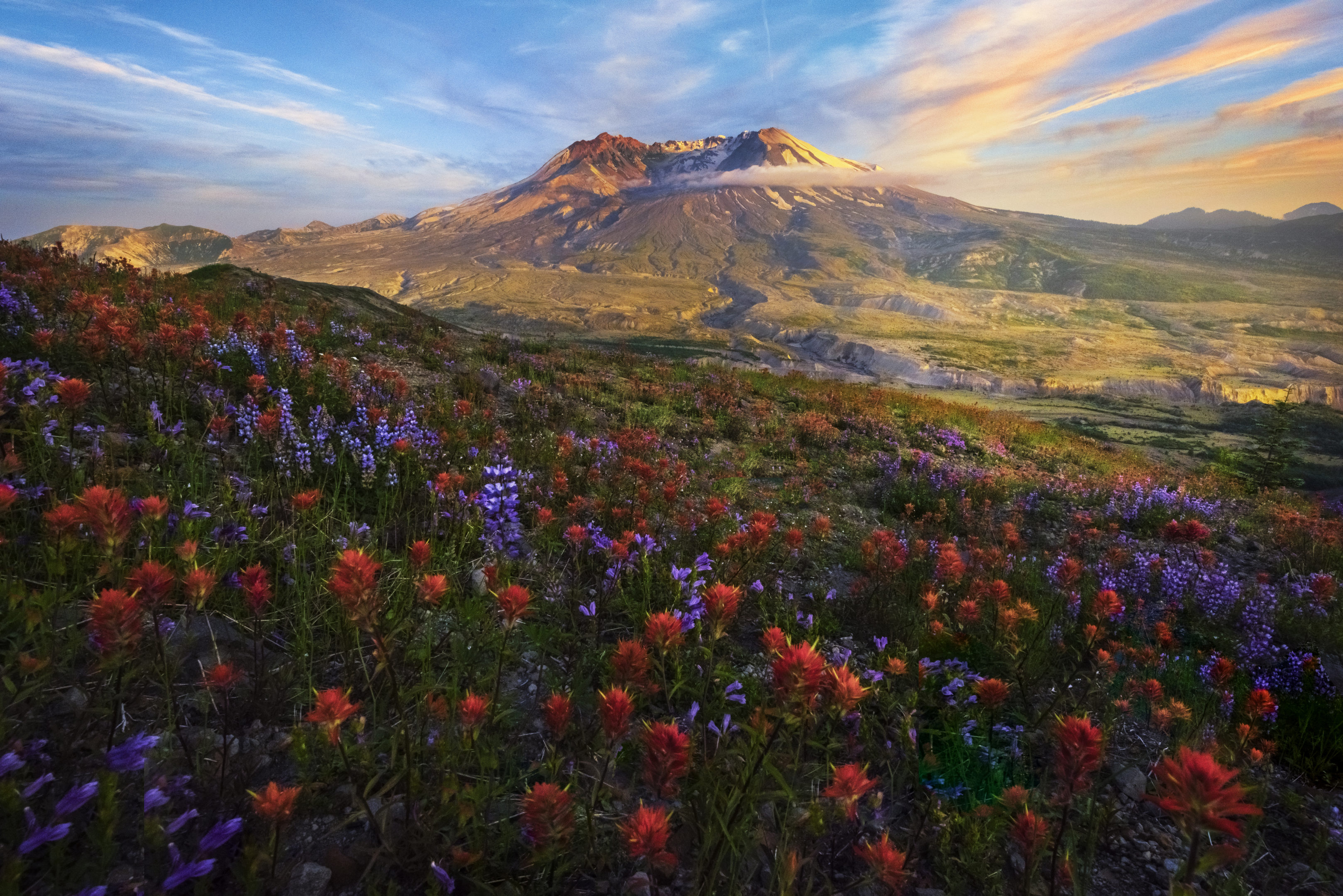 Top Ten Tips For Successful Wildflower Photography - Photo Cascadia